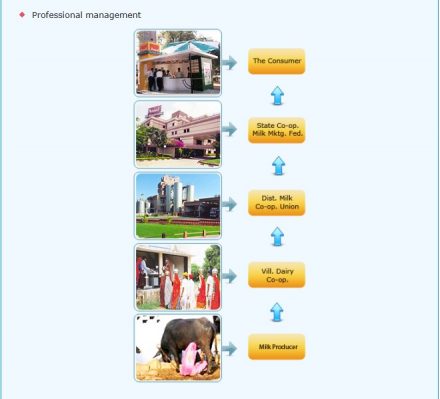 Amul Case Study – Learn Amul’s History, Business Model & Marketing Strategy