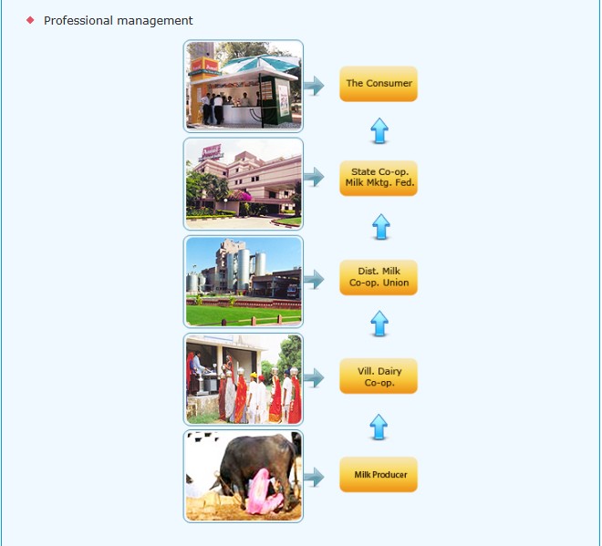 Amul Case Study – Learn Amul’s History, Business Model & Marketing Strategy